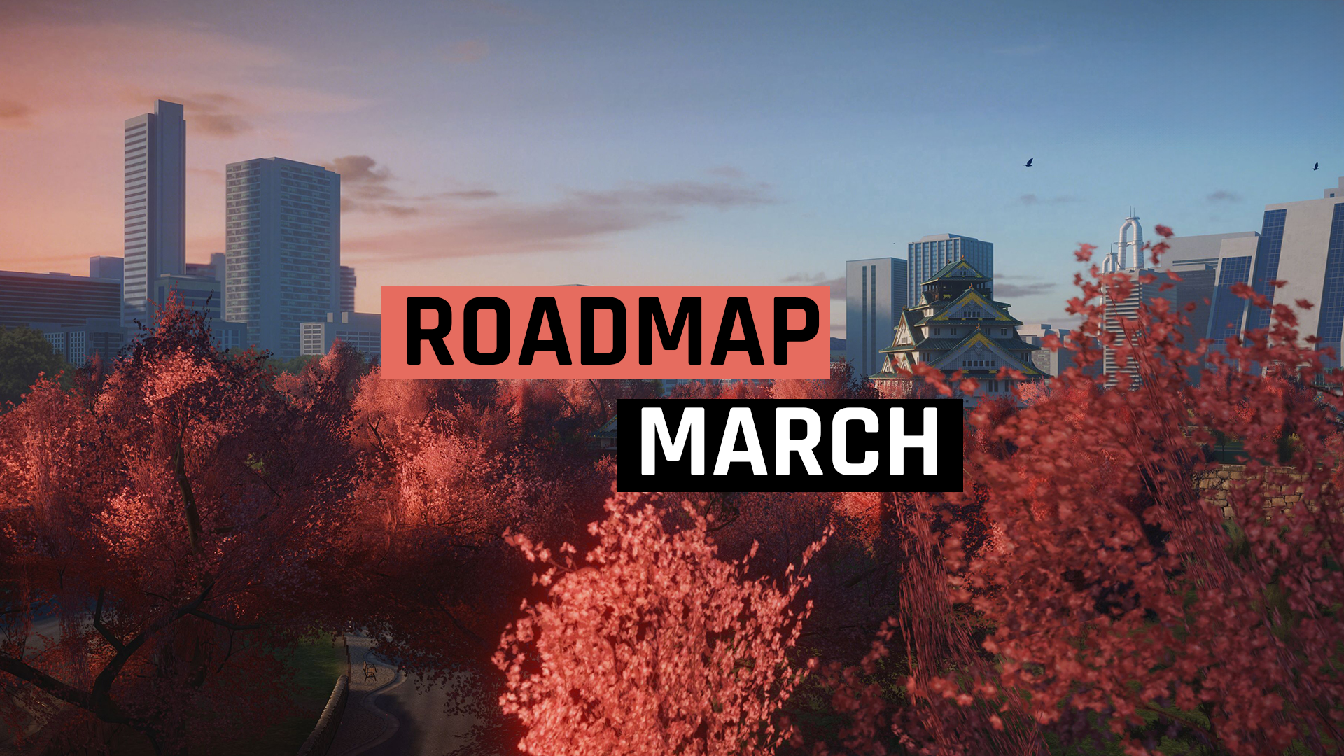 ROADMAP: MARCH